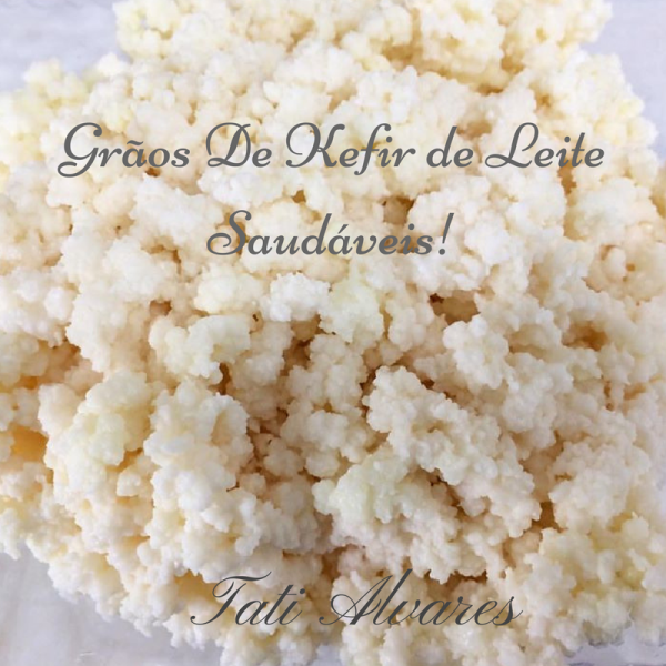 17 Grãos De Kefir de Leite Saudáveis – Tati Alvares